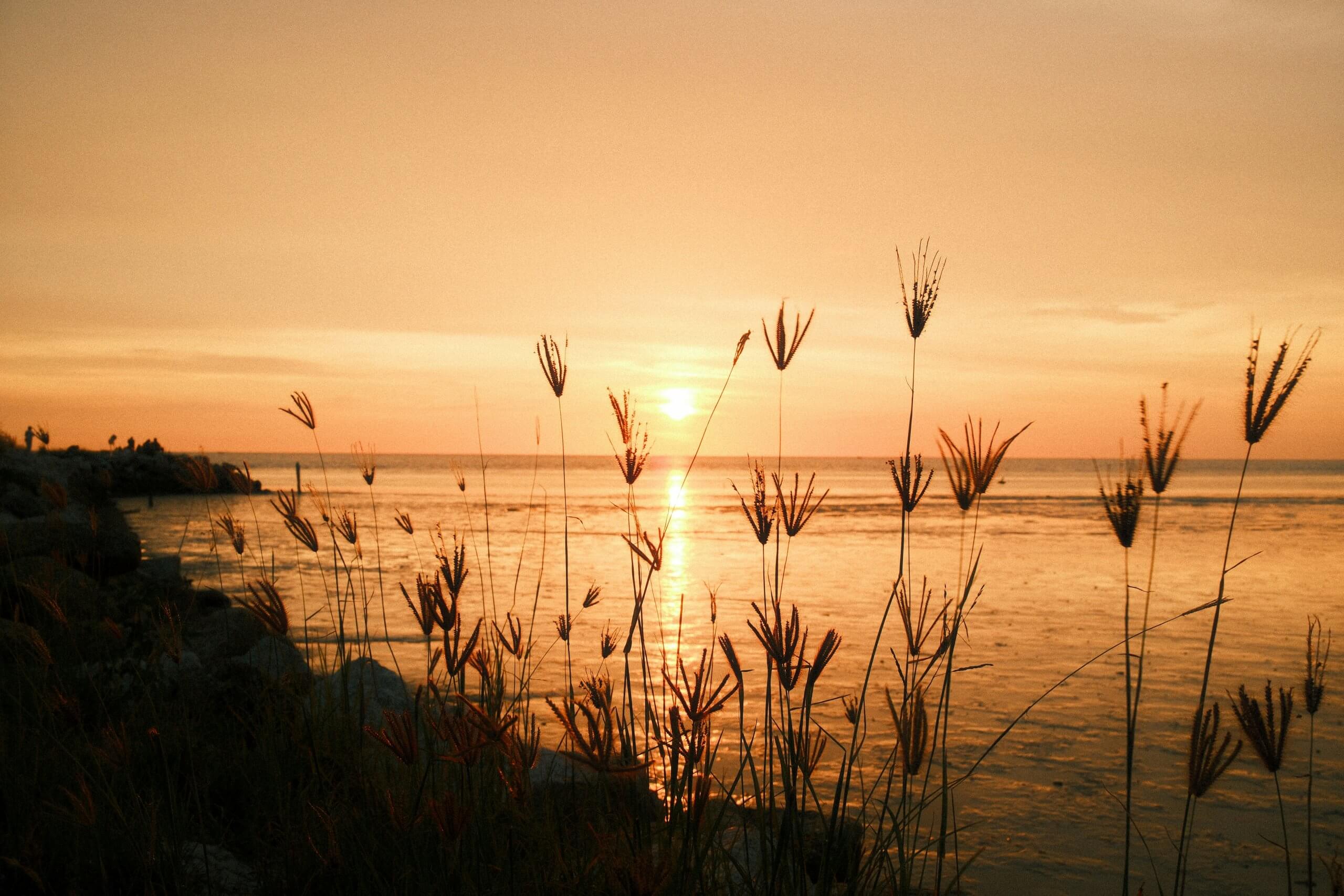 Als ich aufhörte, mit dem Leben zu diskutieren … | Lohrer Coaching ...
